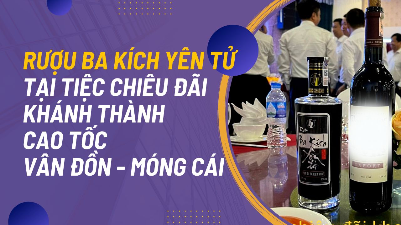 Rượu Ba Kích Yên Tử Tại Tiệc Chiêu Đãi Khành Thành Cao Tốc Vân Đồn ...